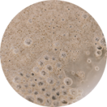 Proizvodi - Biospringer